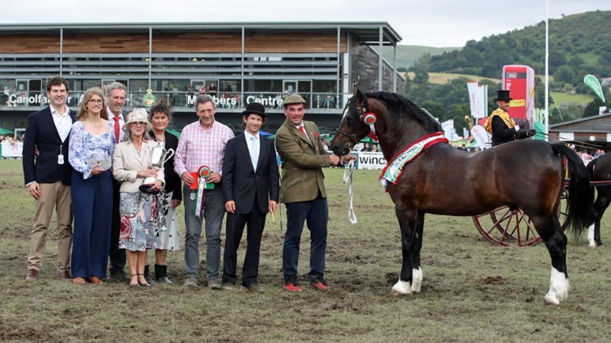 11 must-do activities at this year's Royal Welsh Show | brecon-radnor.co.uk