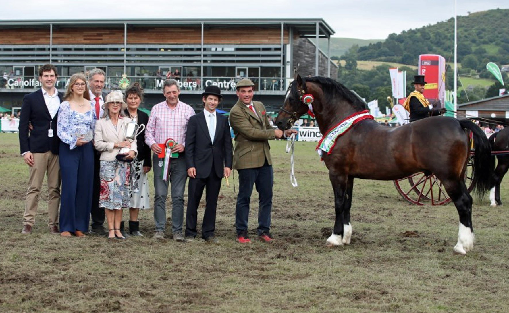 11 must-do activities at this year's Royal Welsh Show | brecon-radnor.co.uk