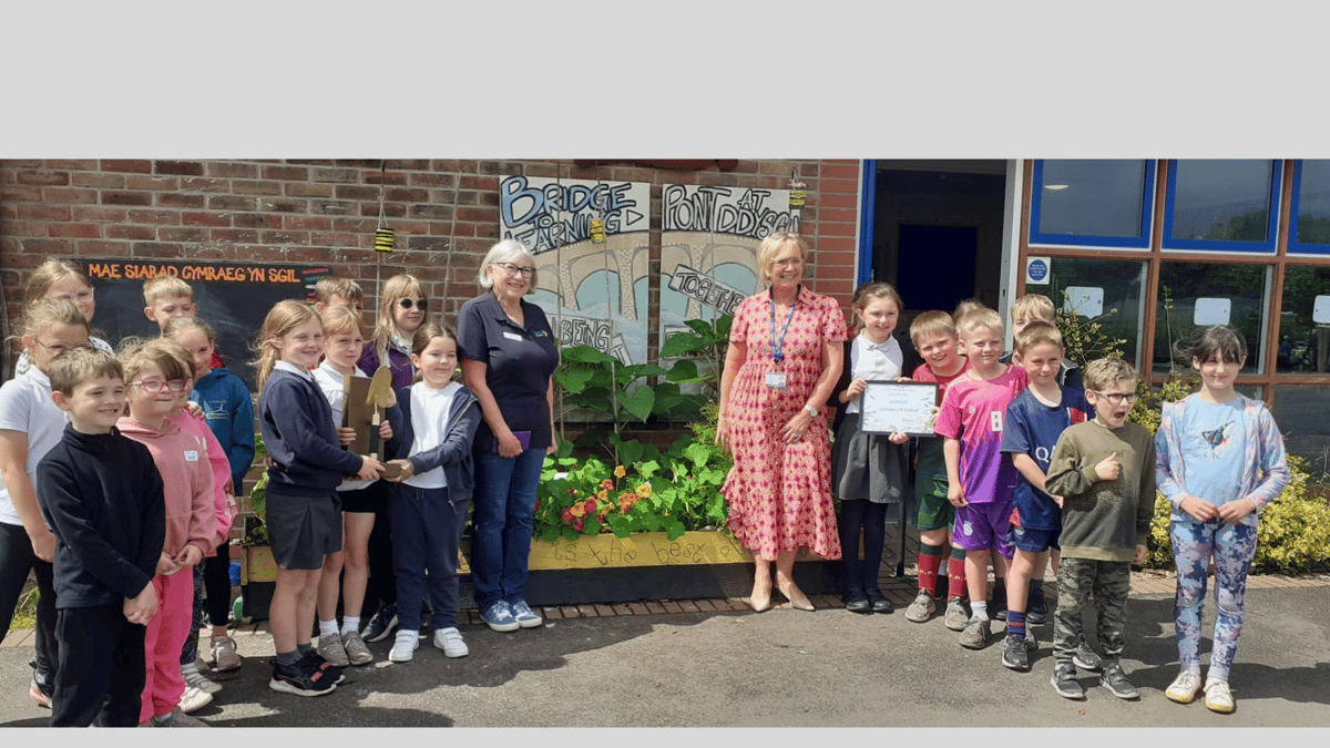 Llanfaes Primary blooms in Brecon Rotary's gardening challenge | brecon ...