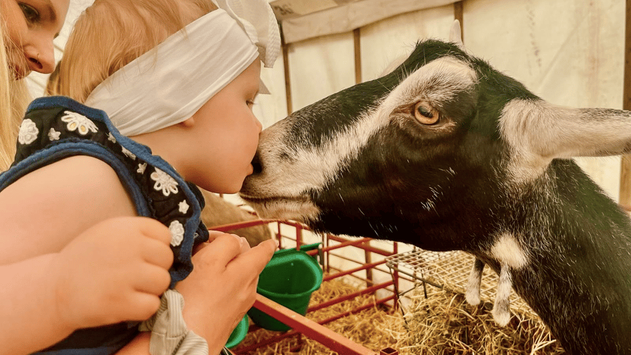VIDEO: Record turnout at Brecon County Show 2024 | brecon-radnor.co.uk
