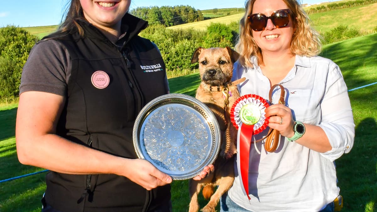 IN PICTURES: 75th Cwmowen Show delights village community | brecon-radnor.co.uk