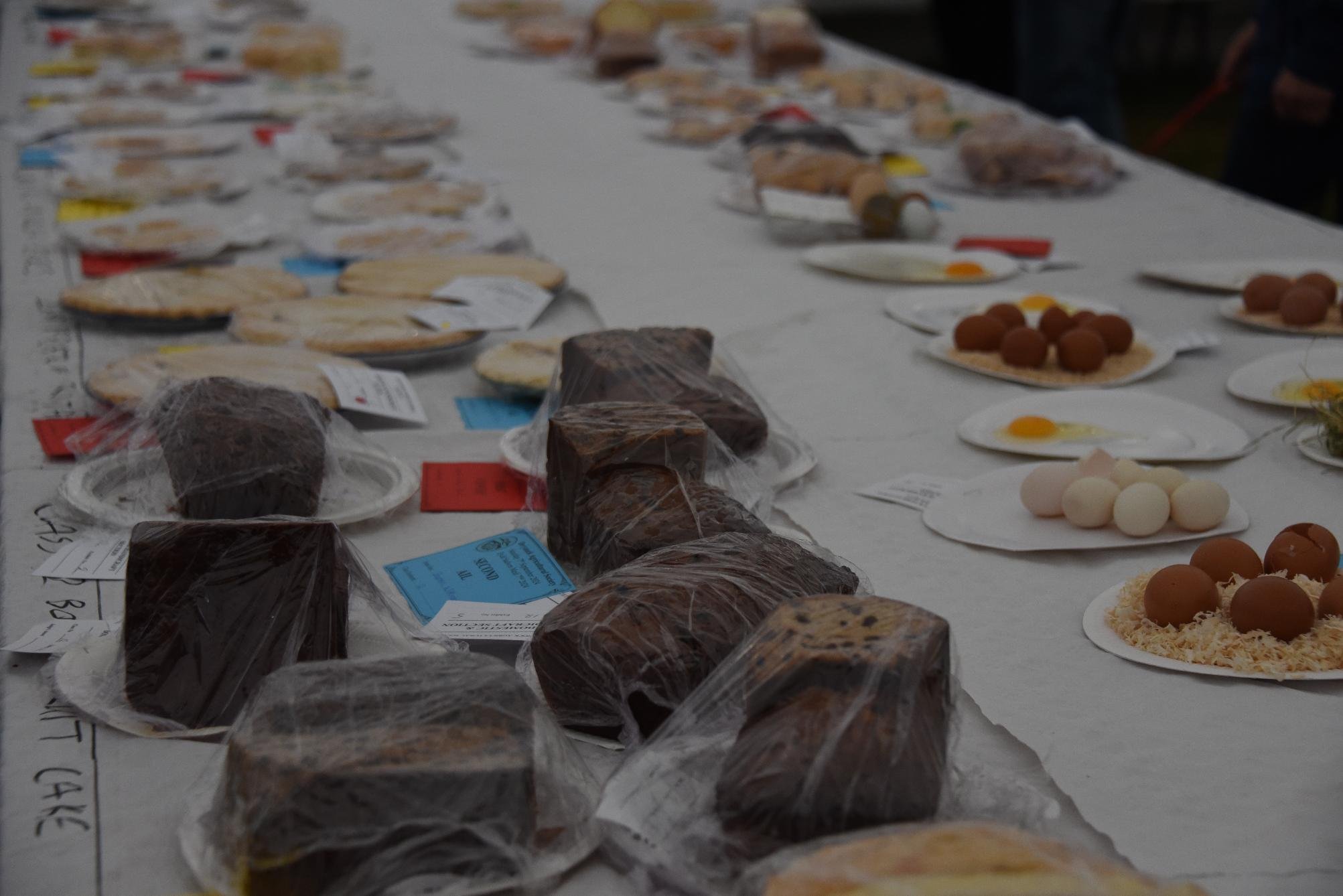 Sennybridge Show delivers thrills, skills, and smiles - rain or shine ...