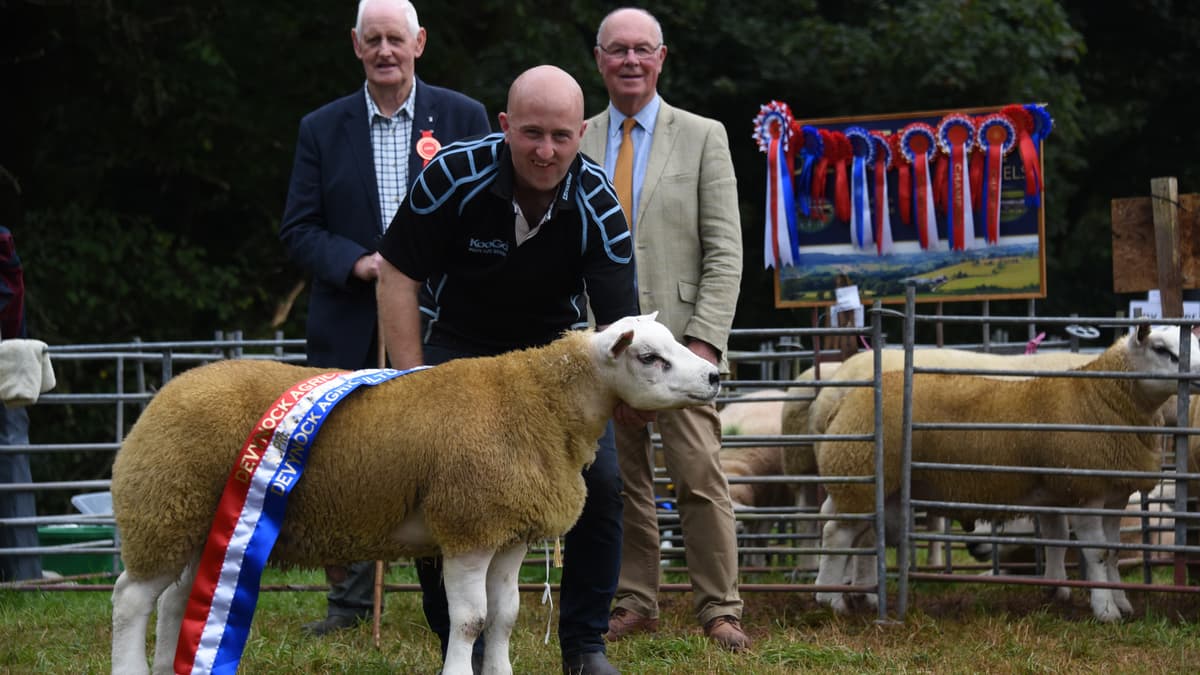 Sennybridge Show delivers thrills, skills, and smiles - rain or shine ...