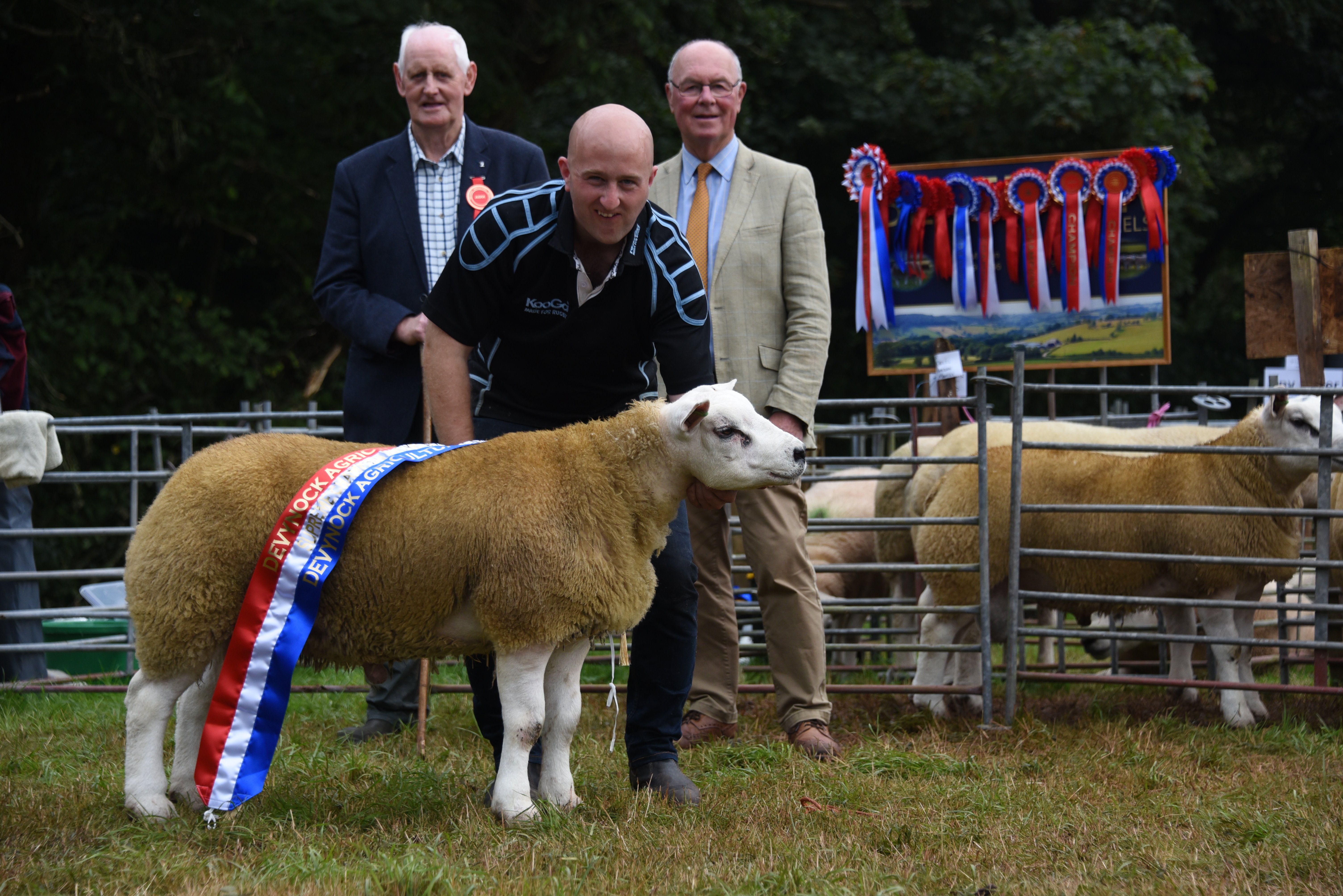 Sennybridge Show delivers thrills, skills, and smiles - rain or shine ...