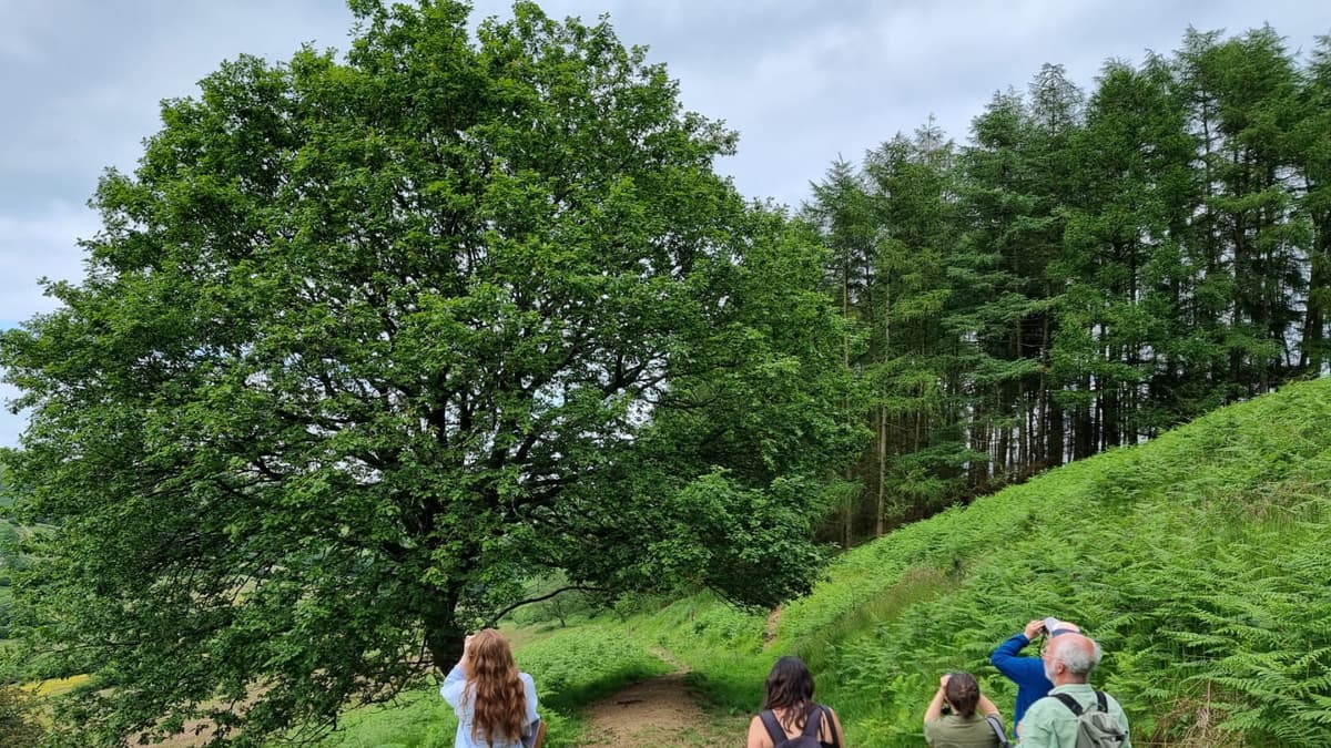 Pentwyn Farm joins Rewilding Network as farm project reaches midway ...