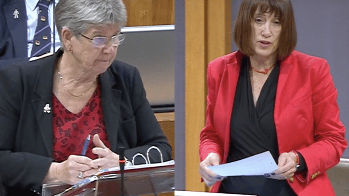 WATCH: Jane Dodds urges halt to Heart of Wales Line cuts at the Senedd ...