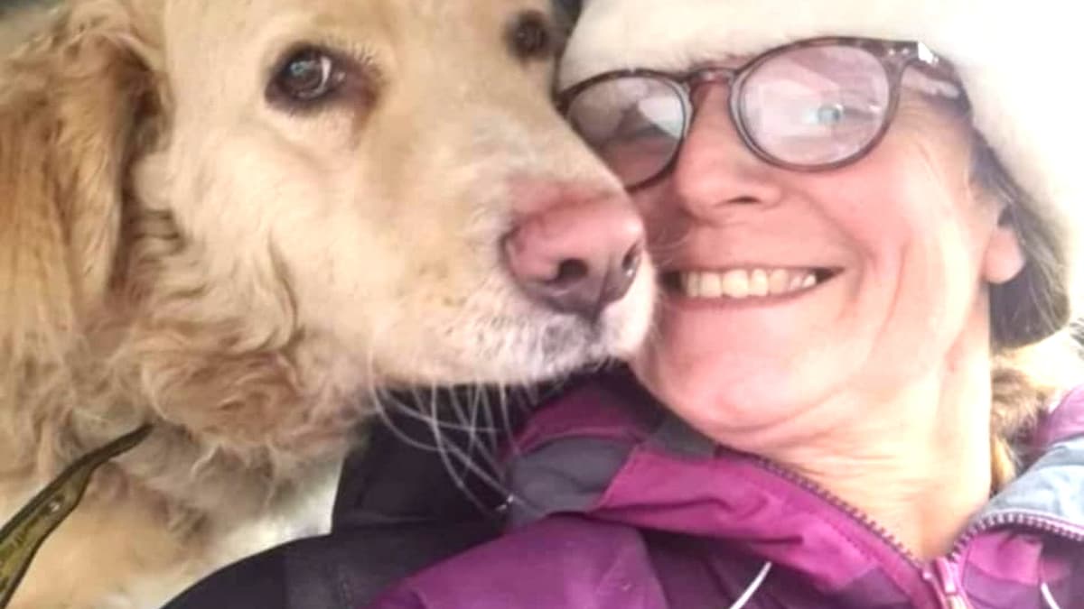 Sanctuary owner needs 'Christmas miracle' to save dogs | brecon-radnor ...