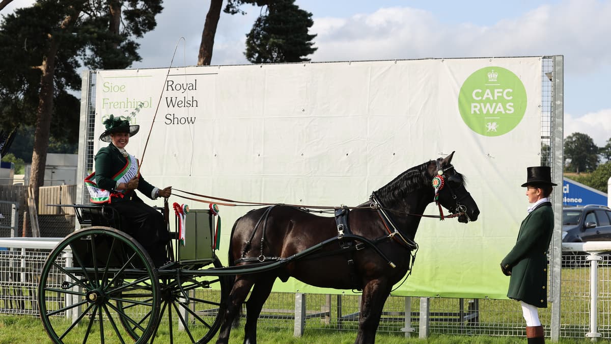 Equine judges announced for the 2025 Royal Welsh Show | brecon-radnor.co.uk