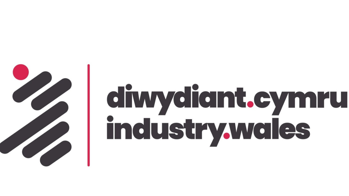 Auditor general criticises ‘irregular’ Industry Wales accounts | brecon ...