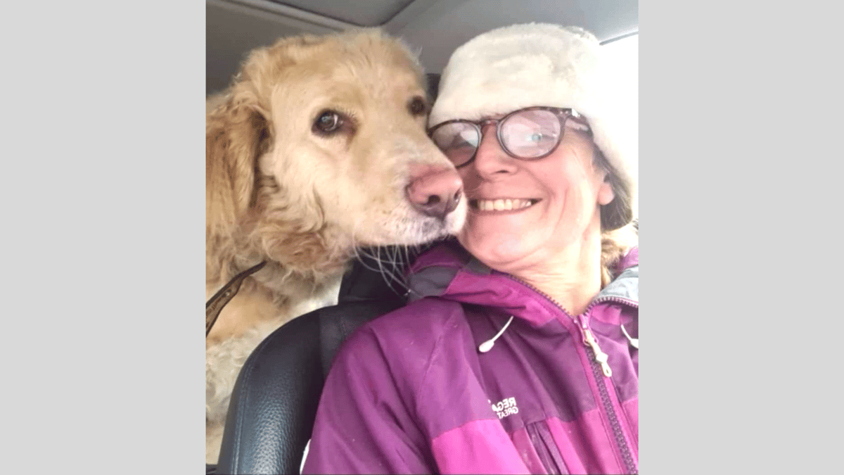 ‘Euthanasia is the only option' – desperate plea to save 30 sanctuary ...