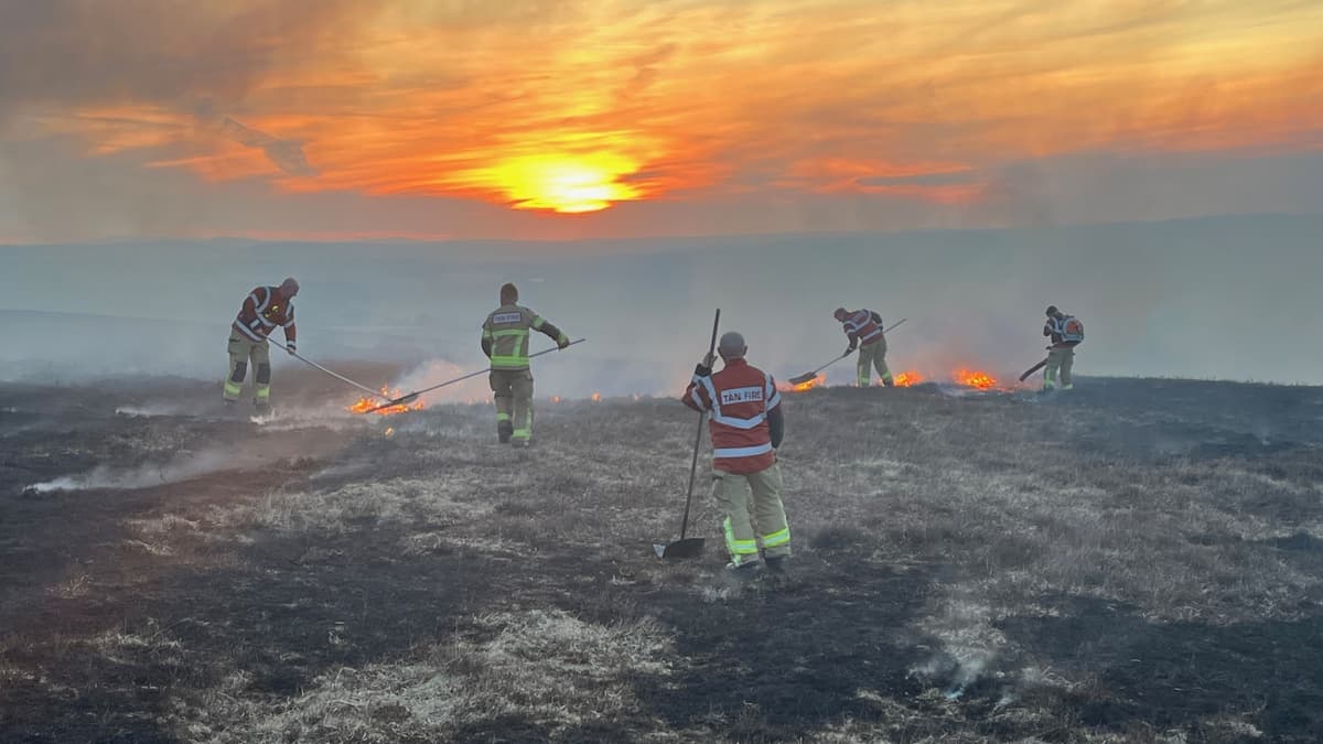 Fire service praised for resilience amid recent surge in grass fires ...