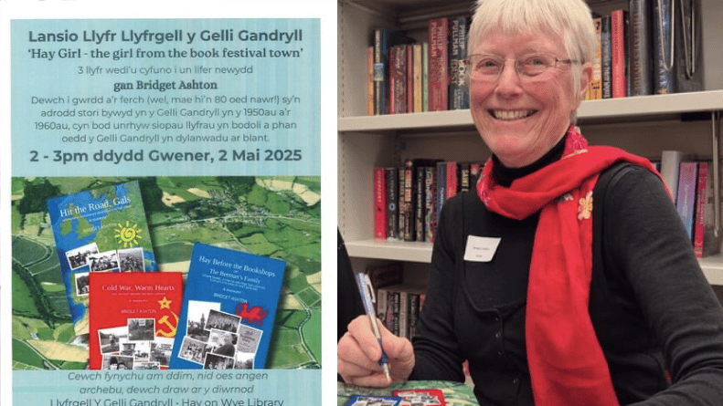 Hay author Bridget Ashton to launch new trilogy at Hay Library | brecon ...