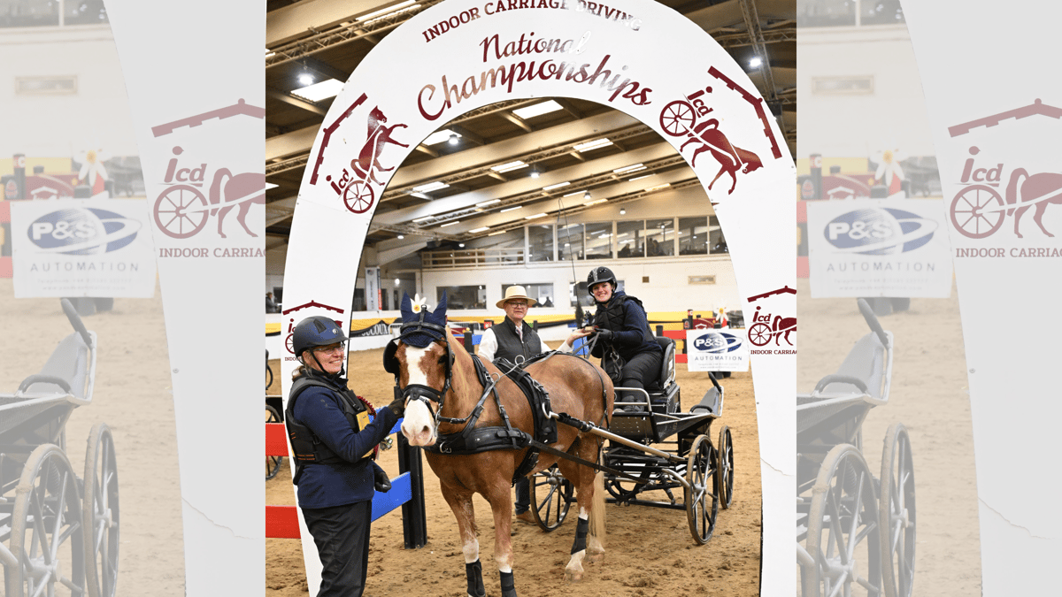Brecon carriage driver crowned UK champion | brecon-radnor.co.uk