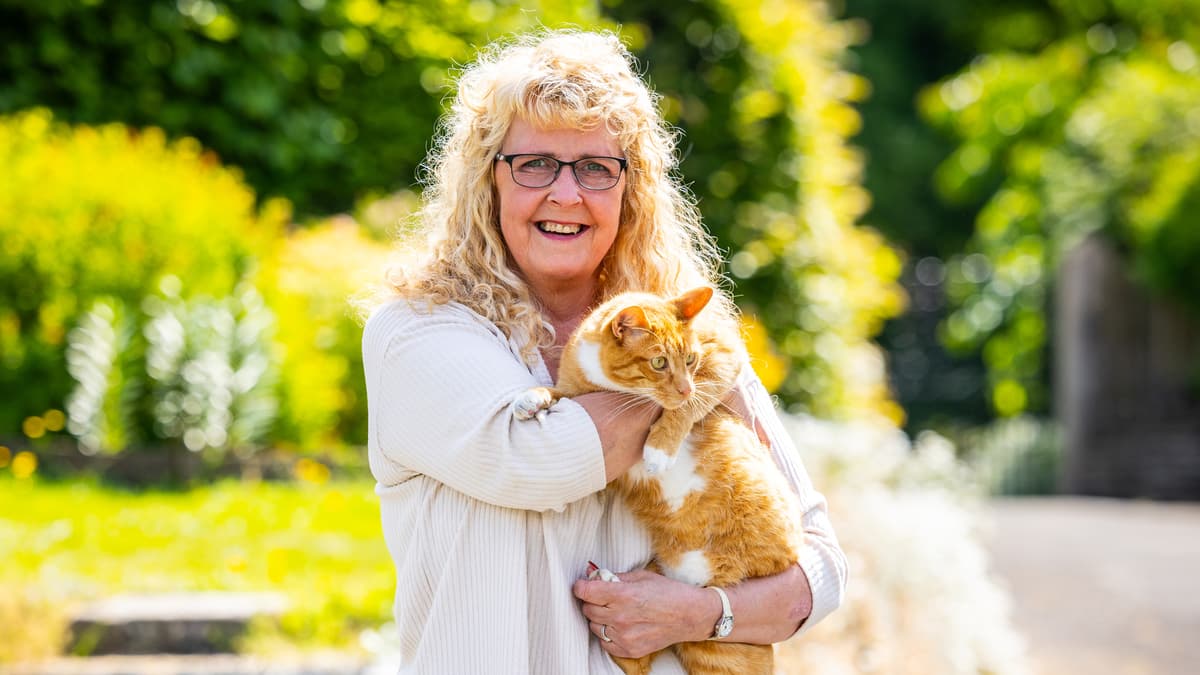 Fizz the famous Llandrindod cat nominated for national award | brecon ...