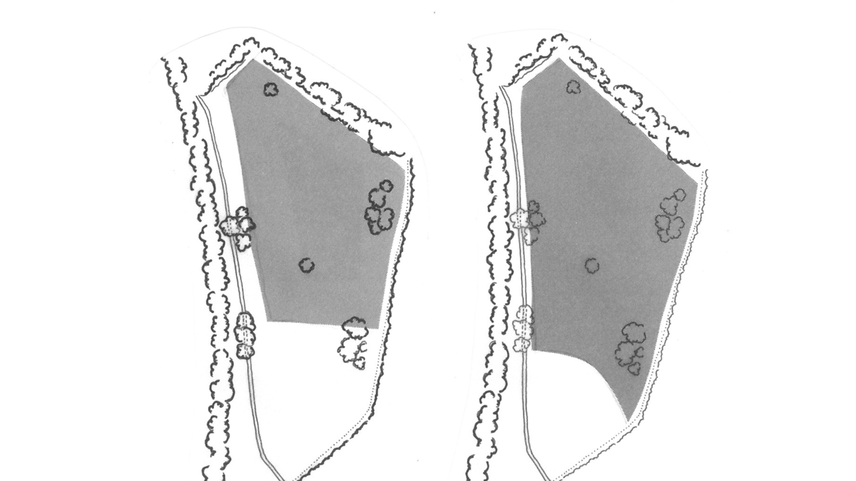 Bullpit Meadow: Biodiversity boost proposed for Crickhowell beauty spot ...