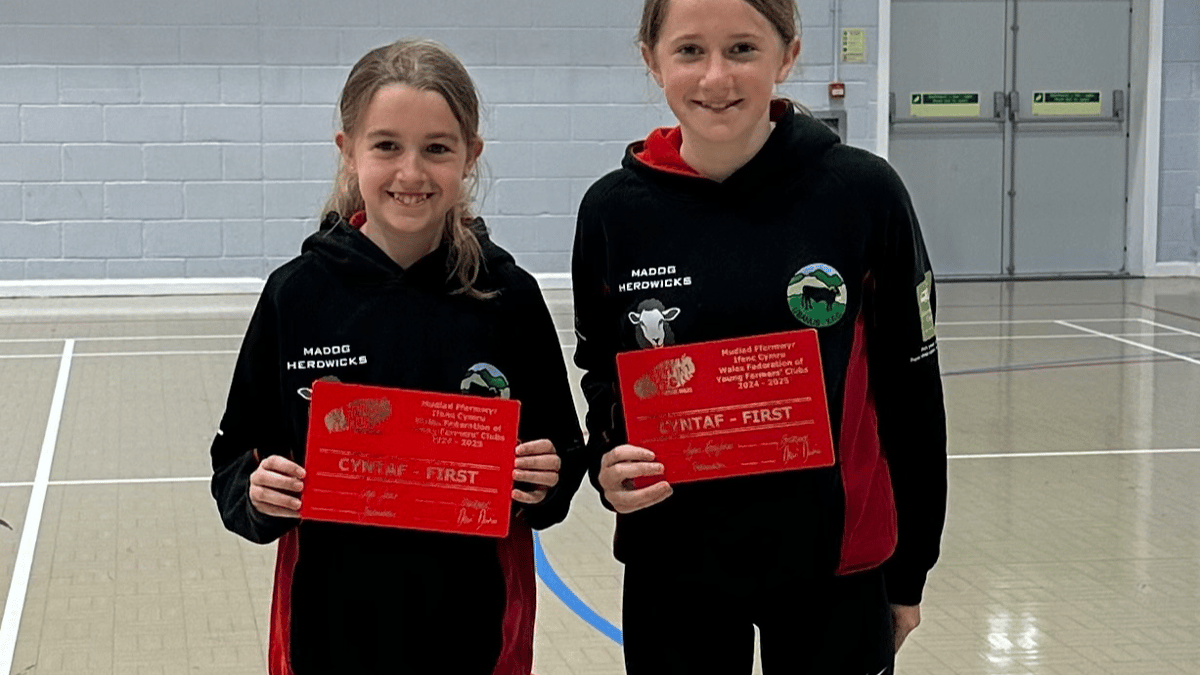Libanus YFC girls to represent Wales in National Badminton Finals ...