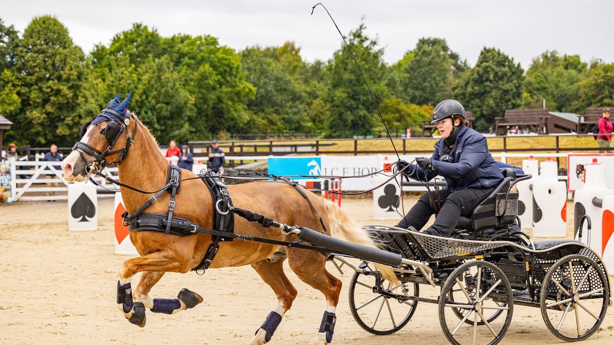 Brecon’s Emily Ham claims Reserve Title at national paradriving event ...