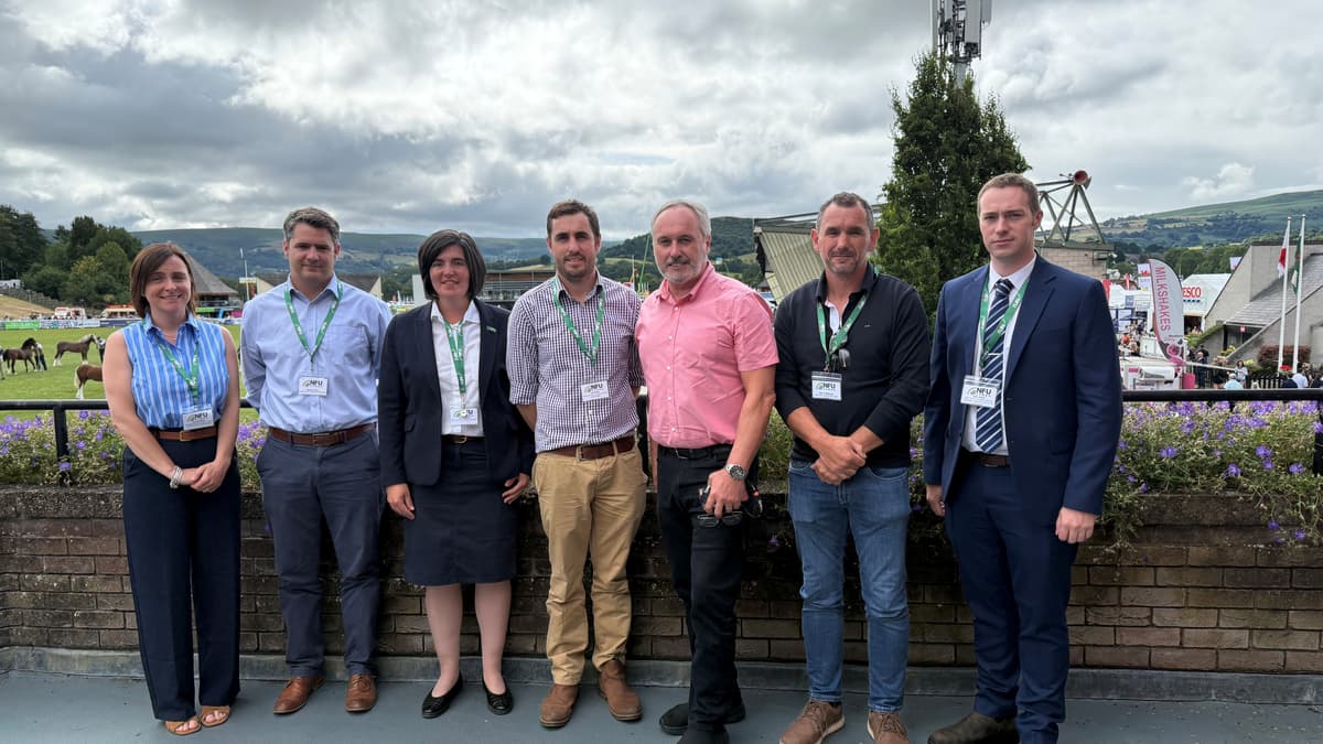 Livestock theft 'getting worse', warns union at Royal Welsh Show | brecon-radnor.co.uk