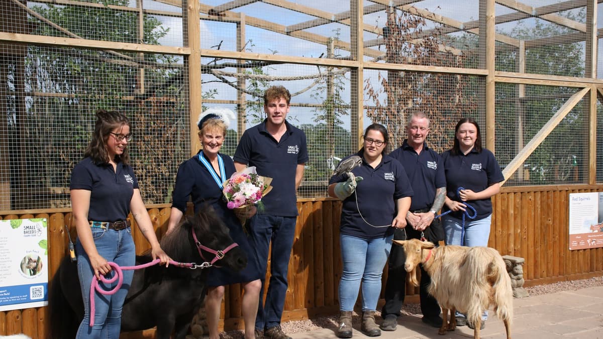 New red squirrel enclosure opens in Kington's Small Breeds Farm Park ...