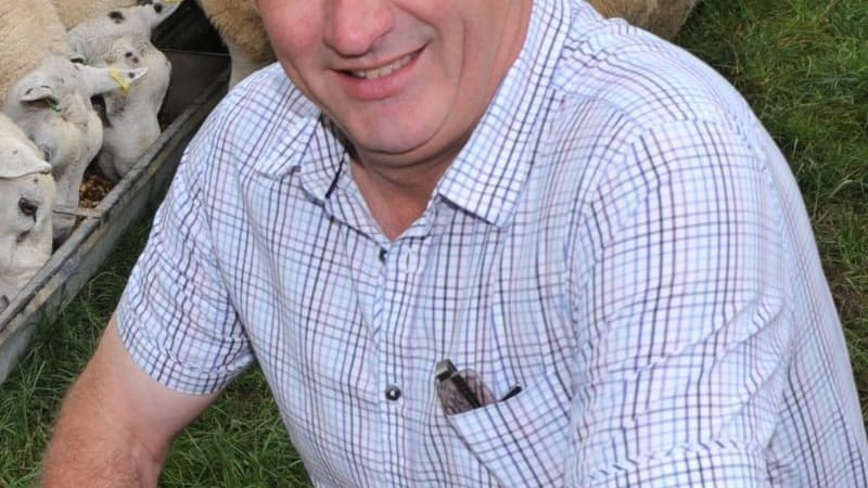 NFU Cymru backs Senedd report calling for reform of Welsh red meat body ...