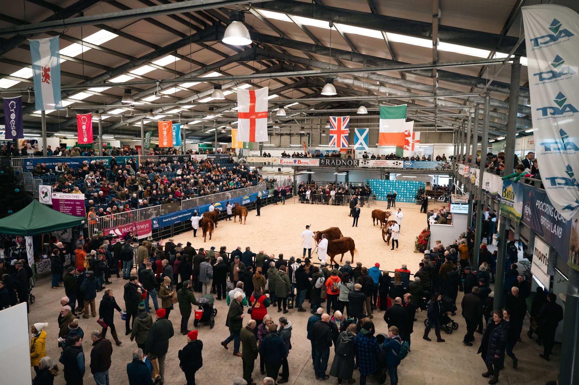Festive cheer at the Royal Welsh Winter Fair this November | brecon ...