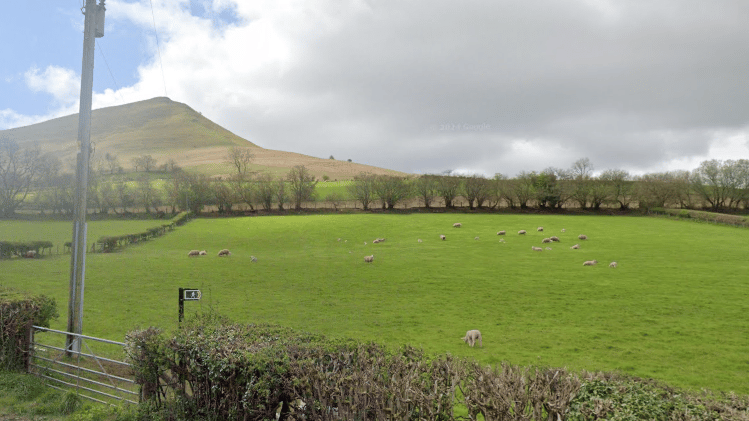 40 lambs taken from enclosed farmland near Talgarth | brecon-radnor.co.uk