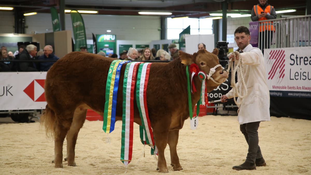 Crowds flock to Royal Welsh Winter Fair for two days of farming ...