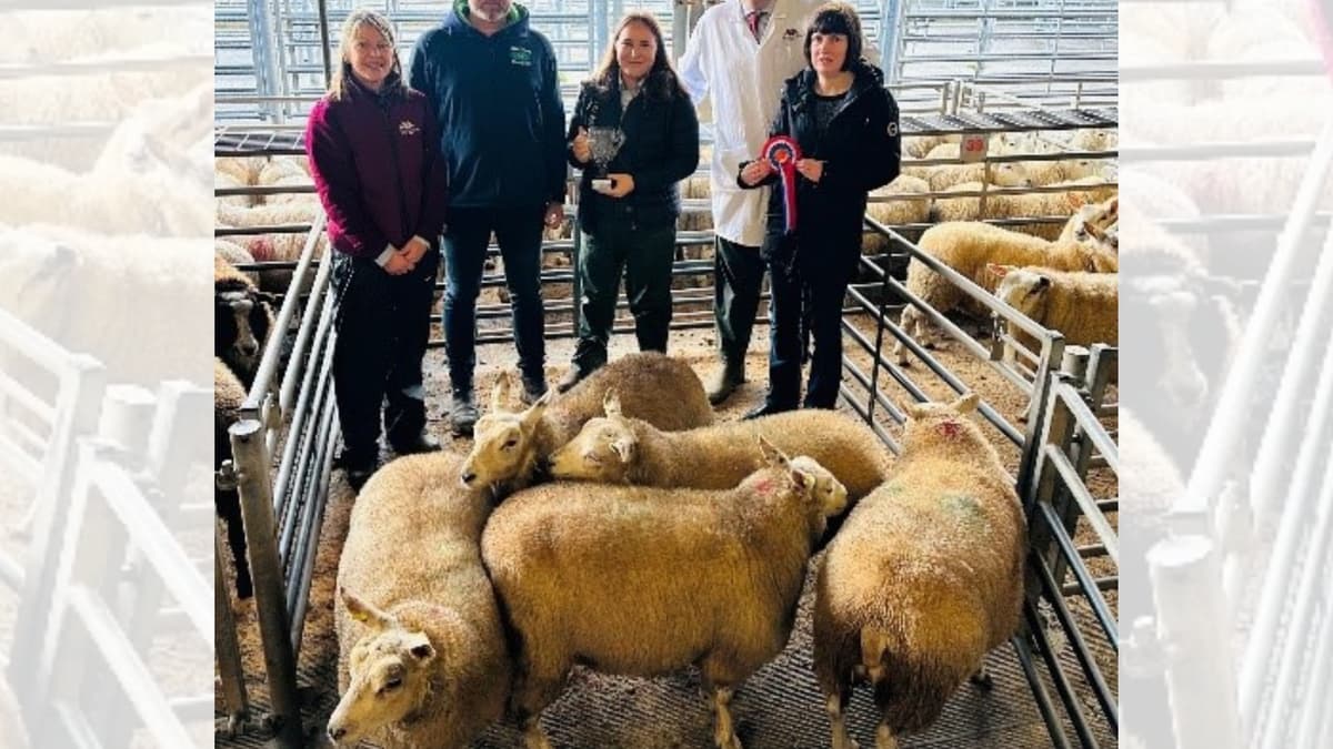 Champions crowned at Brecon Christmas Fatstock Show | brecon-radnor.co.uk