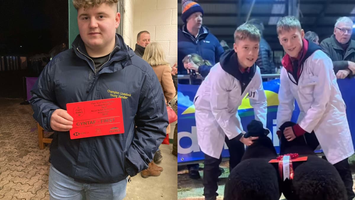 Pontfaen YFC members shine at Royal Welsh Winter Fair | brecon-radnor.co.uk