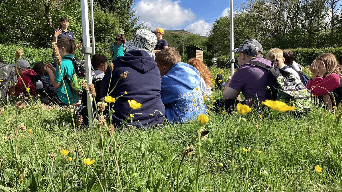 Radnorshire Wildlife Trust project begins nature recovery at Pentwyn ...