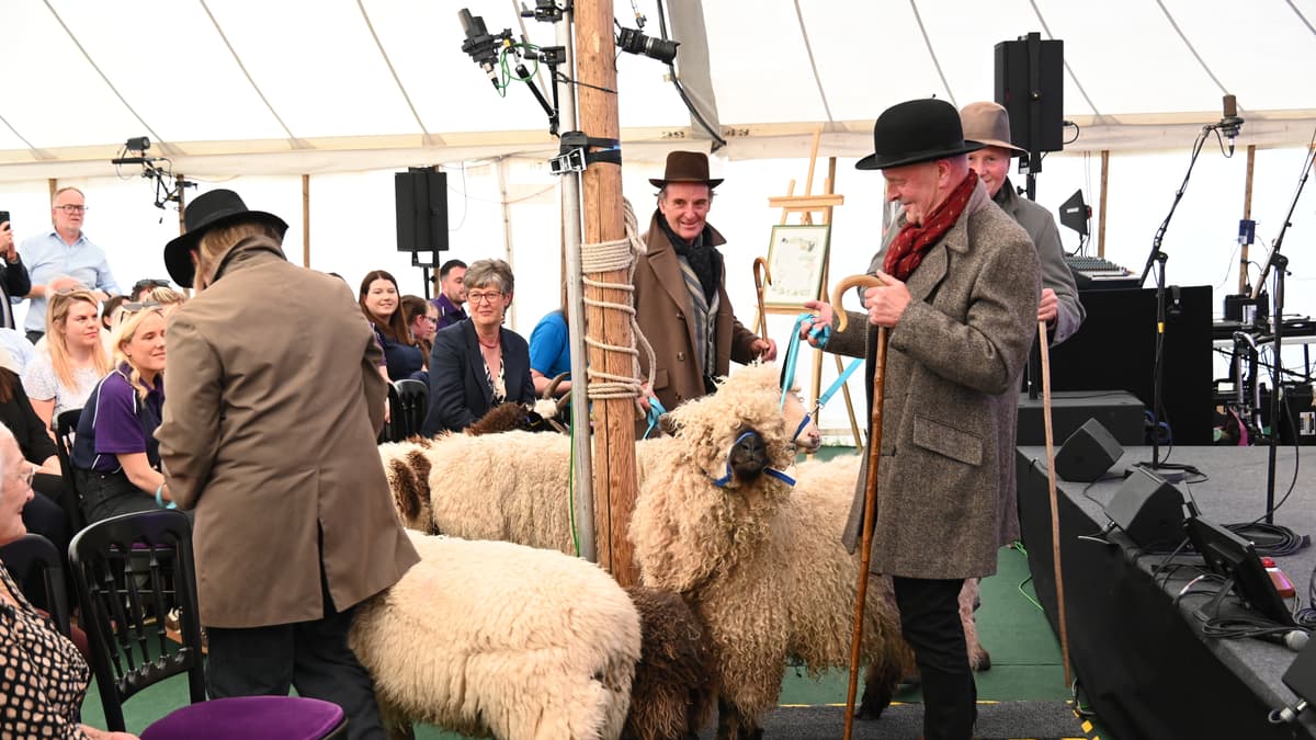 Historic sheep procession marks Royal Welsh Show launch in Hay-on-Wye ...