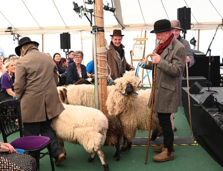 Historic sheep procession marks Royal Welsh Show launch in Hay-on-Wye ...