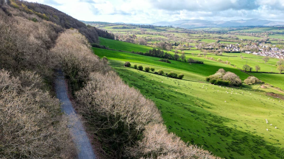 Park Wood, Talgarth, becomes part of National Forest for Wales ...